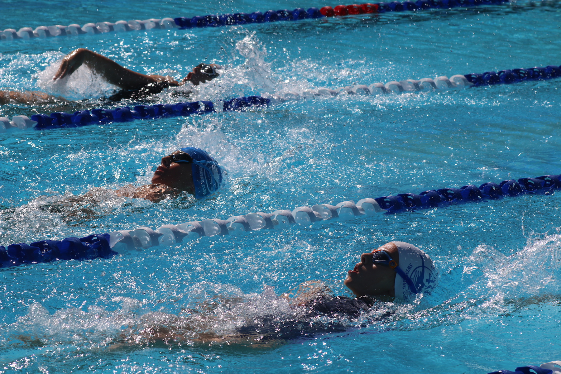 News – Newman Churchlands Swimming Club